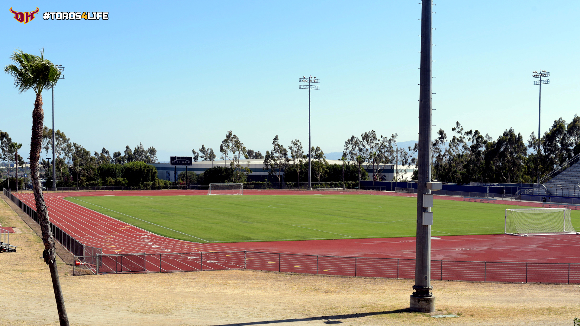 Athletics Zoom Backgrounds - Cal State Dominguez Hills Athletics